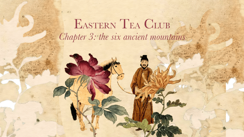 Eastern Tea Club, Chapter 3: Six Ancient Tea Mountains 古六大茶山 – Eastern ...